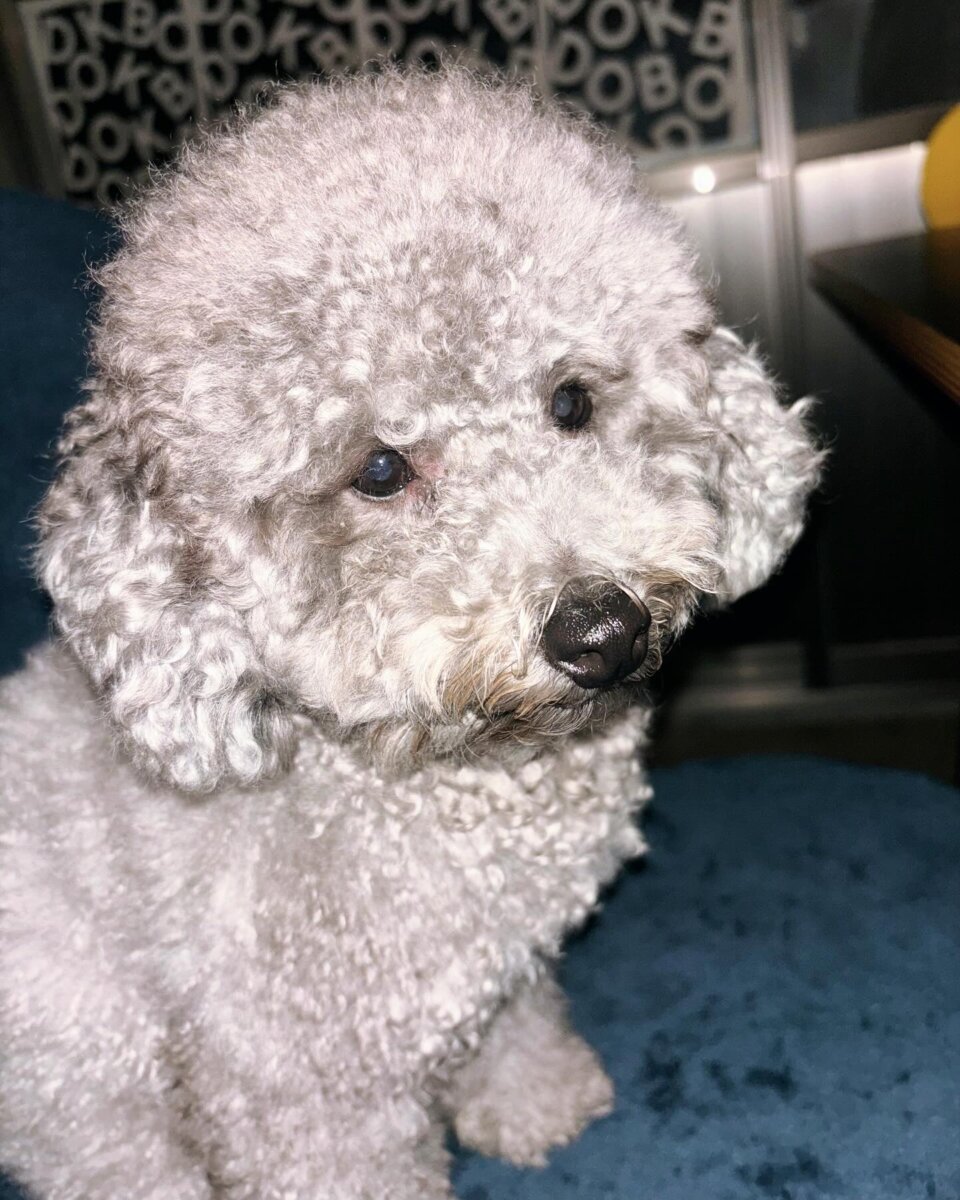 날이 습해지면 더욱 부스스해지는 곱슬머리 깔끔 관리법! | 얼루어 코리아 (Allure Korea)